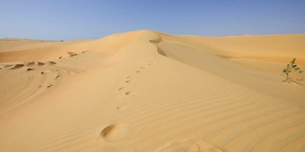 La Fin du Désert de Lompoul - Visiter le Sénégal